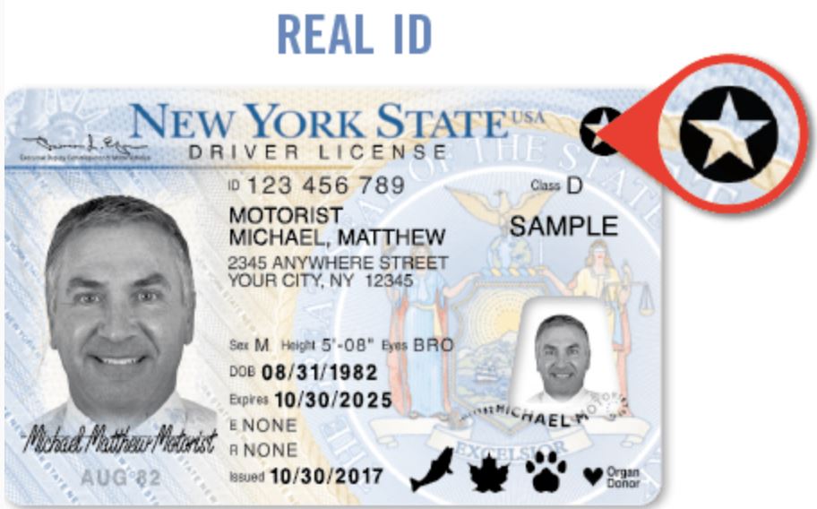 Real ID driver’s license now available | News, Sports, Jobs ...